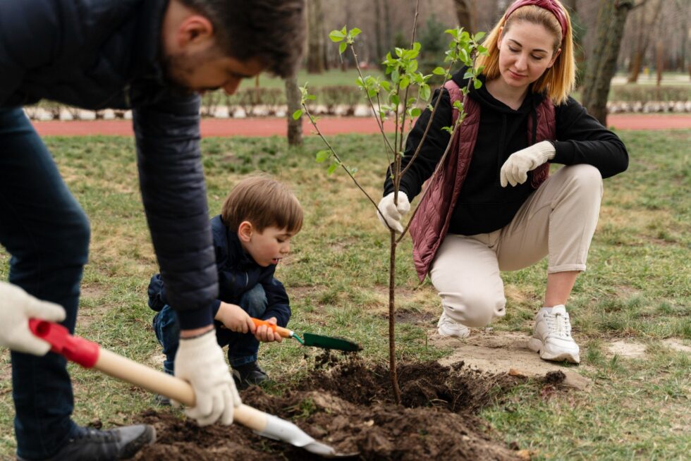 Top 7 Tree and Bed Planting Do's and Don'ts